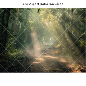 Enchanted Summer Forest Digital Backdrop | Fairy, Elven Forest Theme ...