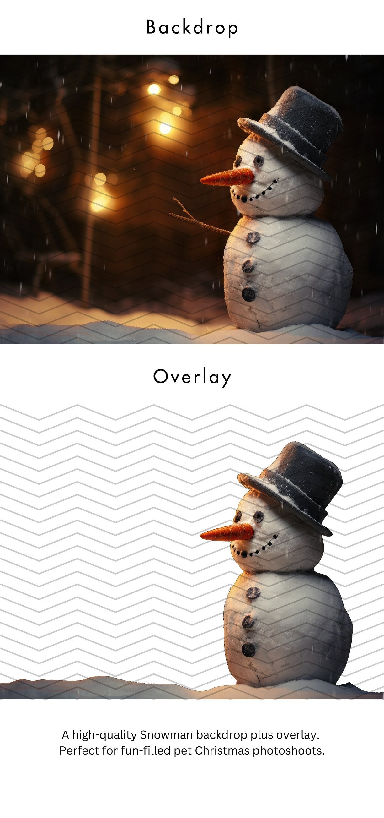 Pet Building Snowman Digital Backdrop | Christmas Dog Picture Portraits ...