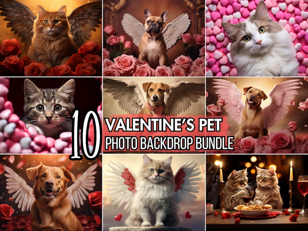 10 Valentine's Pet Portrait Digital Backdrops Bundle: for Custom Dog ...