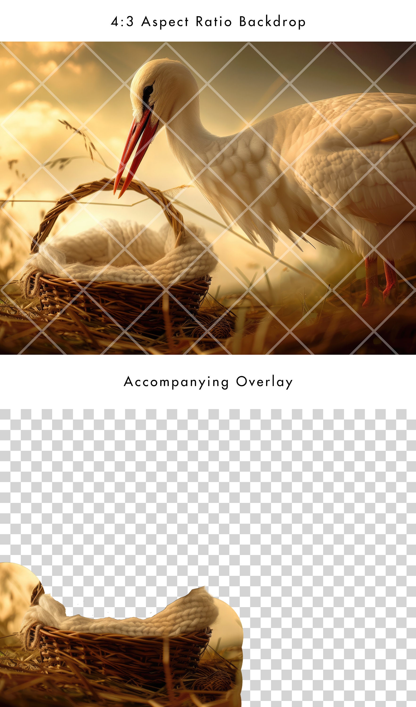 Stork & Newborn Digital Background Whimsical Stork and Basket Scene ...
