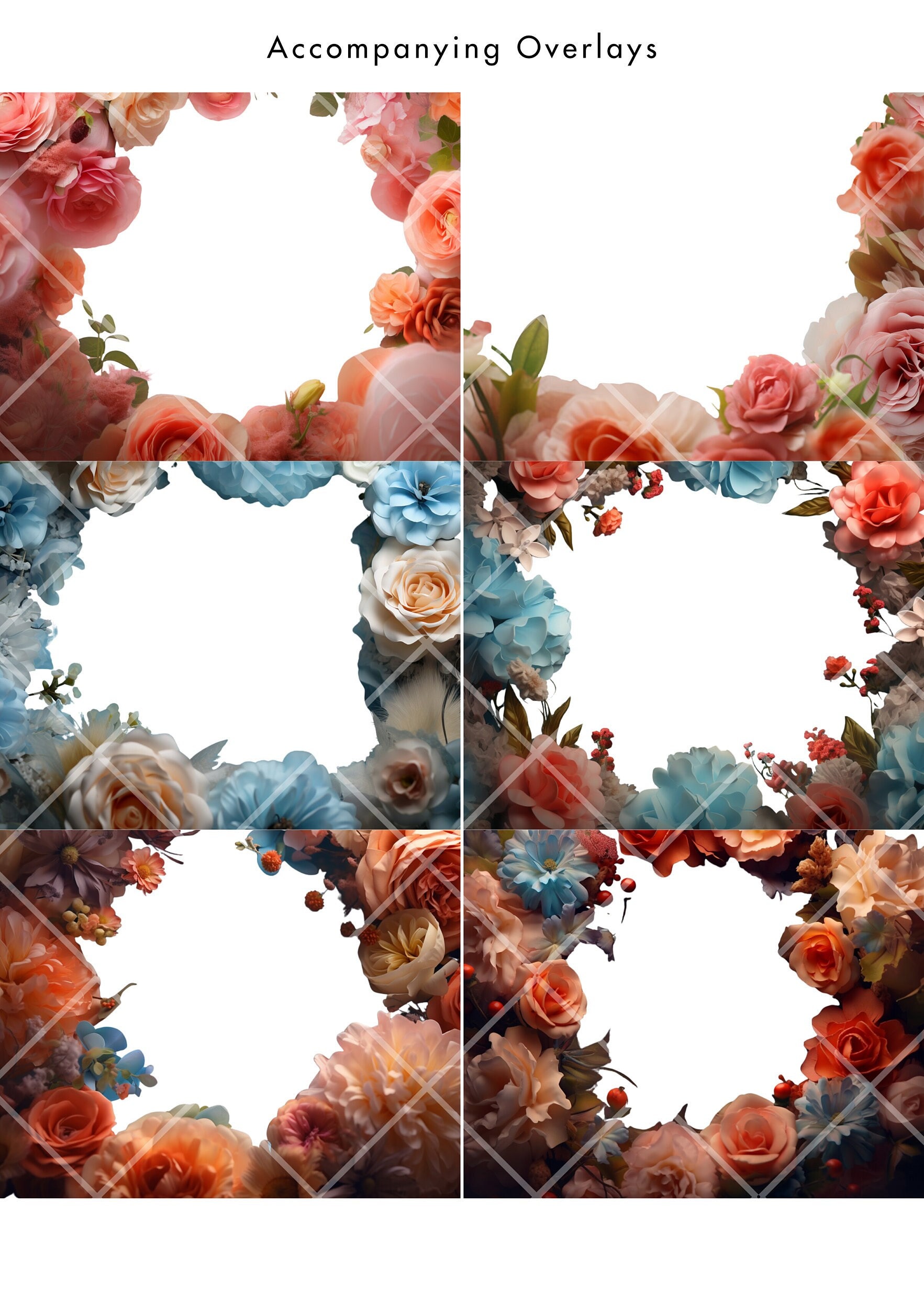 6 Flower Frame Baby Backgrounds Digital Photo Backdrop Border Studio ...