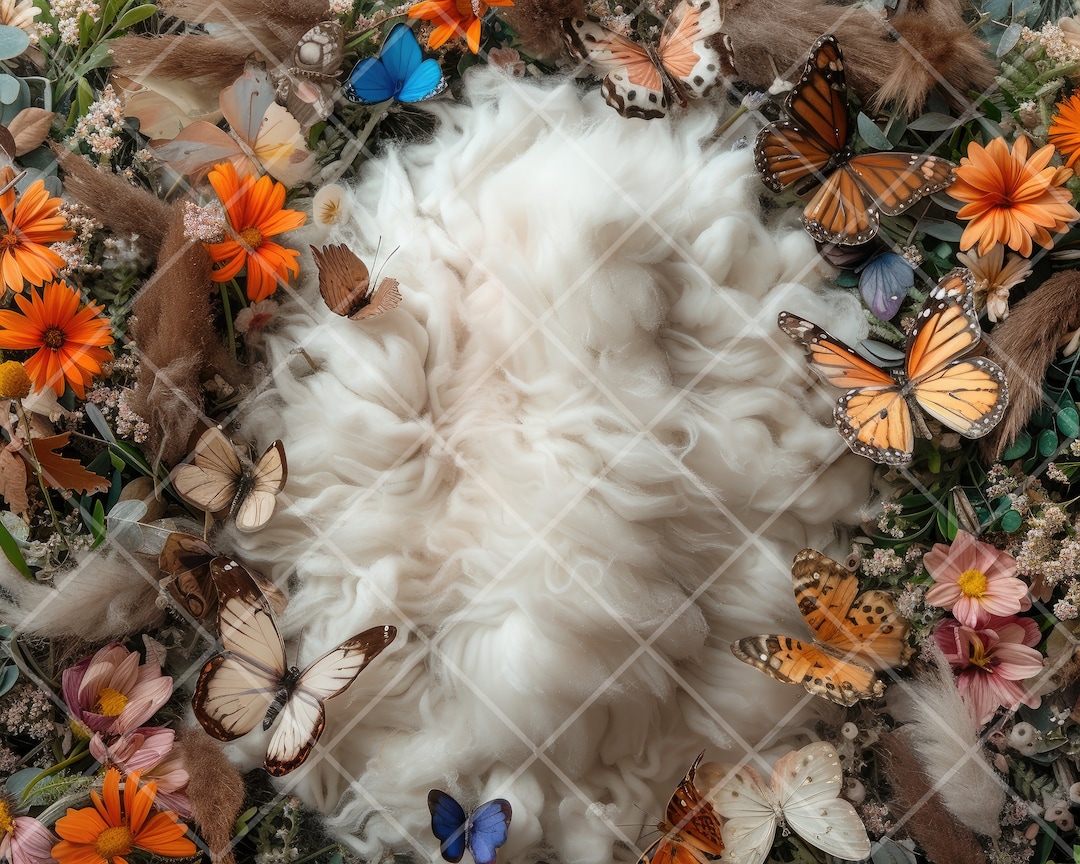 3 Newborn Enchanted Butterfly Digital Photography Backdrops | Forest ...