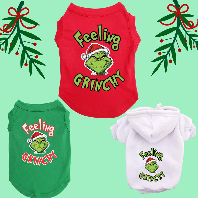 Grinch Dog Costume for Dog - Etsy Canada