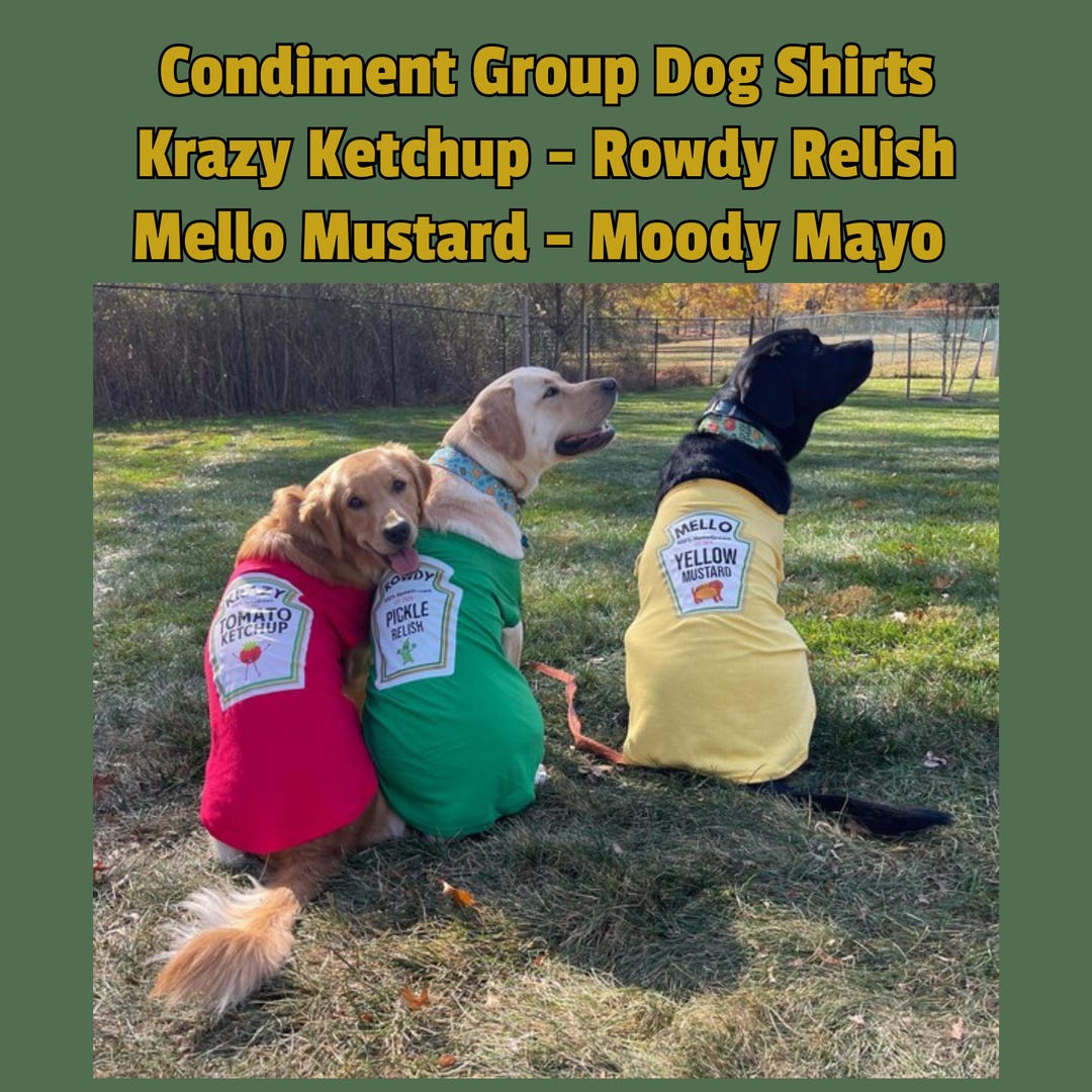 Matching Condiment Dog and Cat Shirts or Hoodies Halloween Dog Costume ...