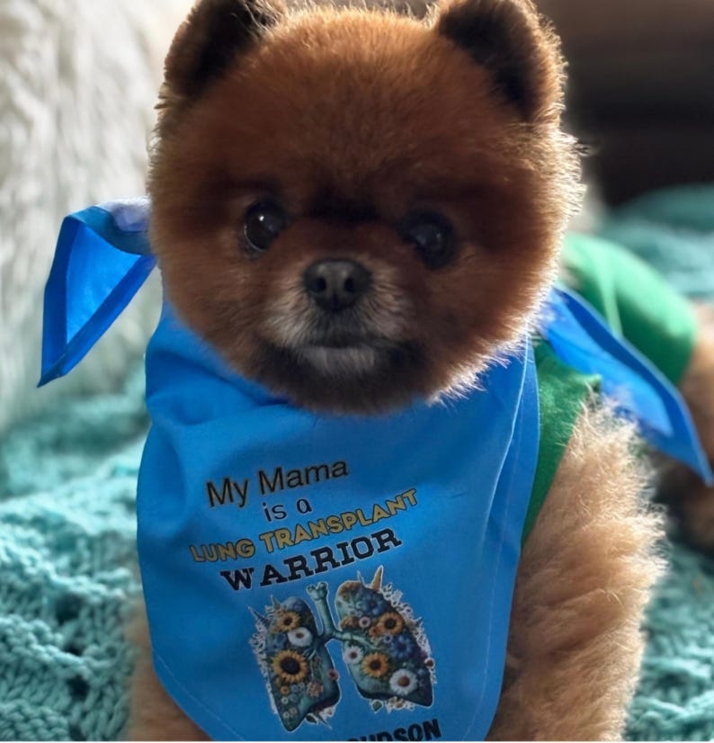 Custom Dog Bandana- Customize With Your Own Scarf Bandana With a Saying ...