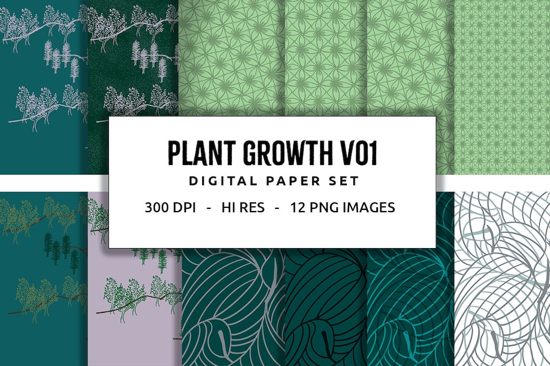 Plant Growth V01 Digital Paper Set Abstract Patterns Simple - Etsy