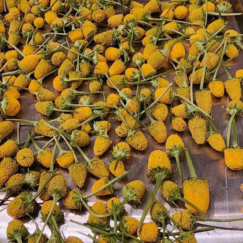 Floral Buttons Bulk - Etsy