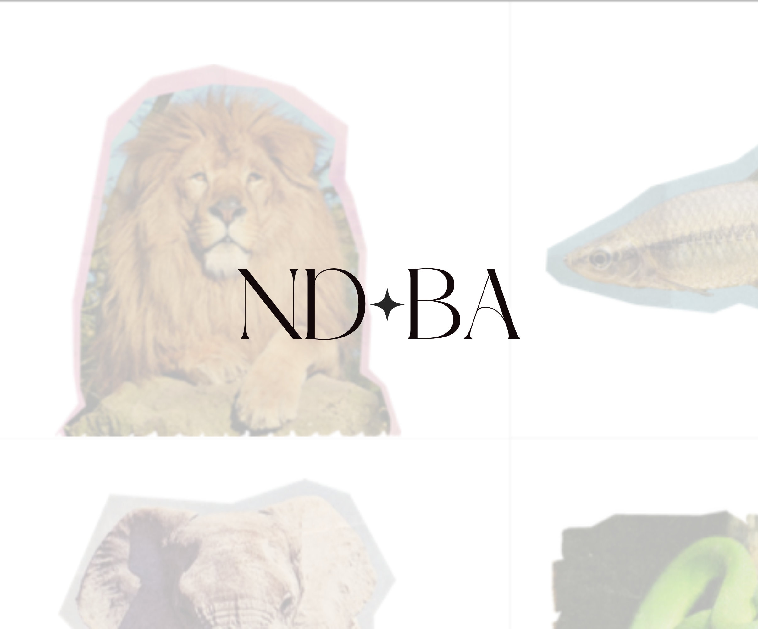 Printable Animal Tact Training Cards - Etsy