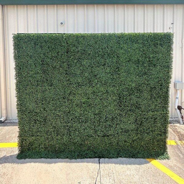 Boxwood Backdrop - Etsy