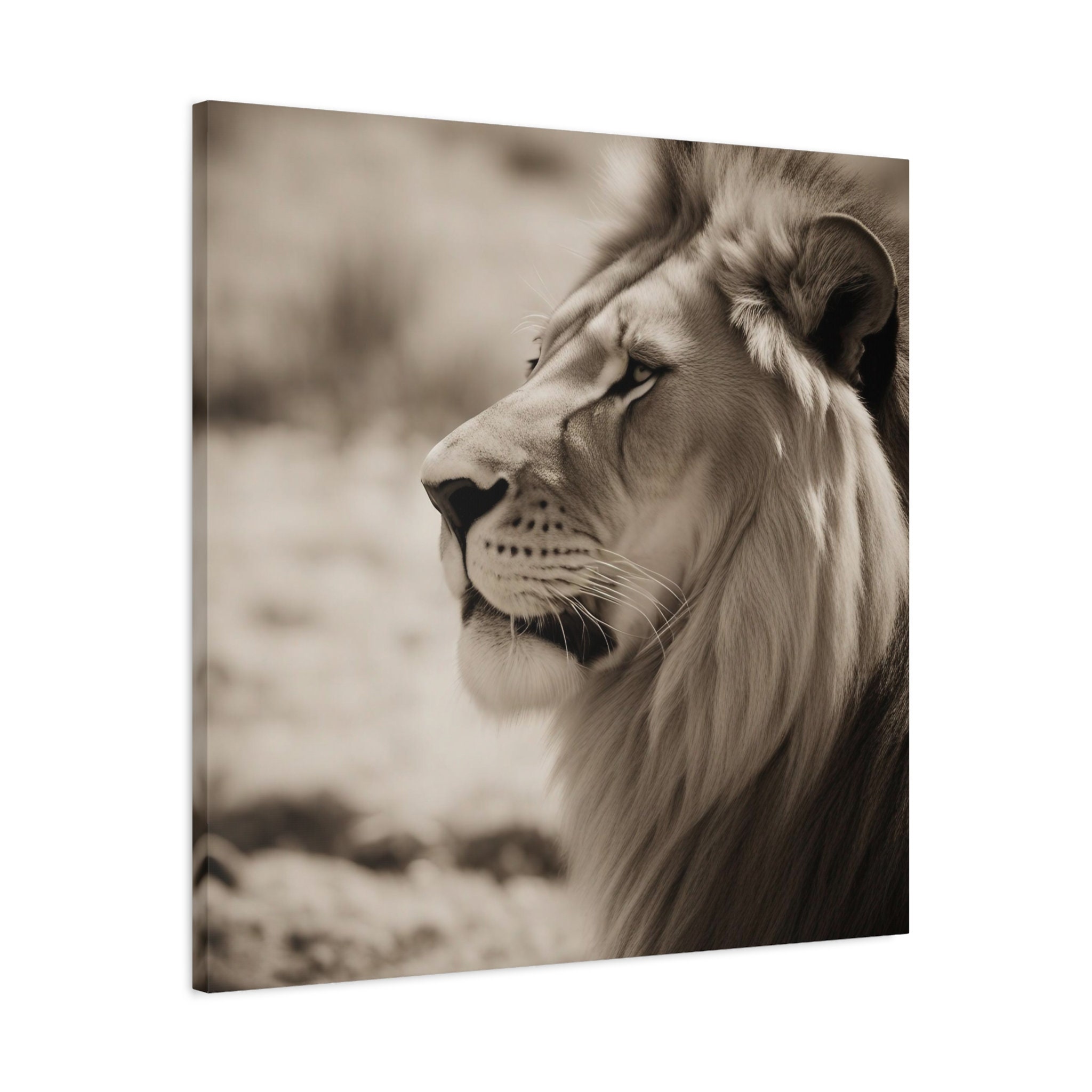 Lion Matte Canvas, Stretched, 1.25" - Etsy