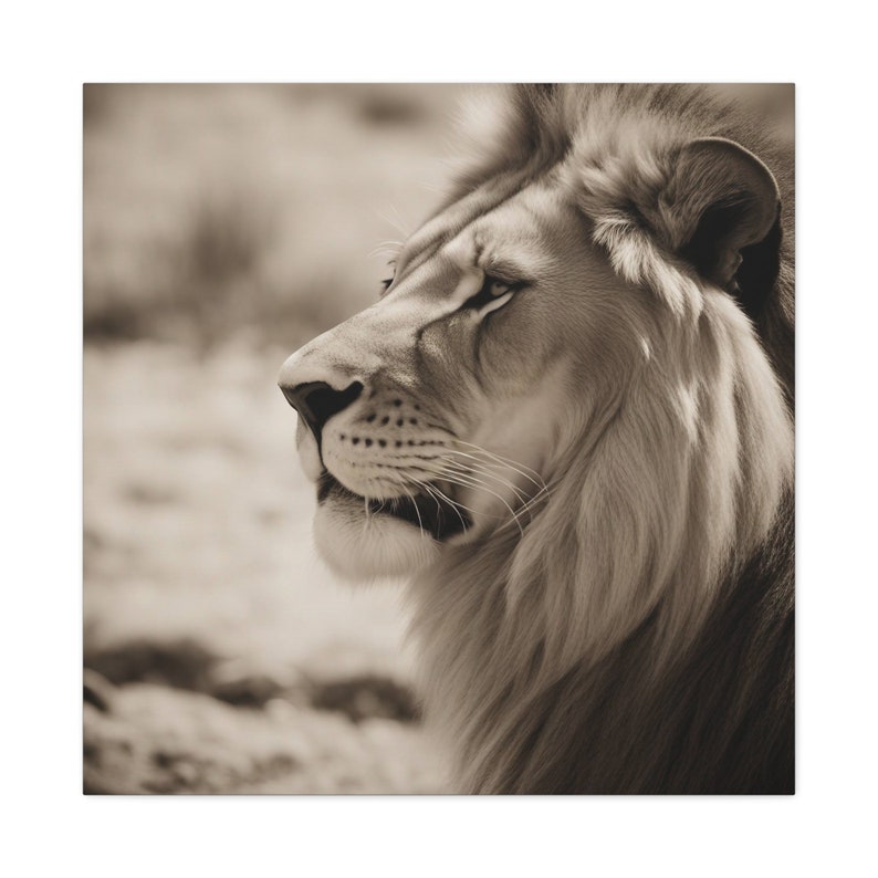 Lion Matte Canvas, Stretched, 1.25" - Etsy