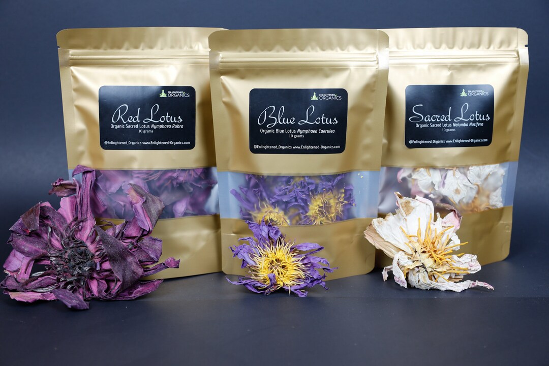 Lotus Triple Pack Egyptian Blue Sacred White Red Lotus 100% Organic ...