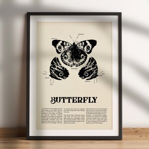 Vintage Butterfly Anatomy Poster Fascinating Facts & Stunning ...