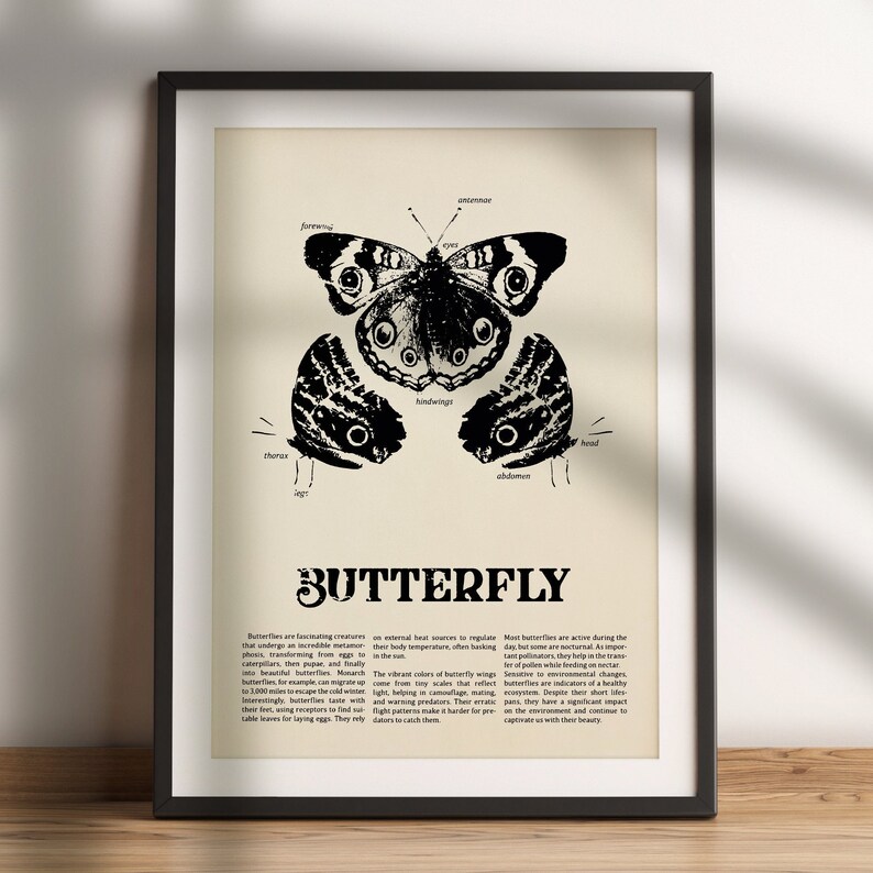 Vintage Butterfly Anatomy Poster Fascinating Facts & Stunning ...