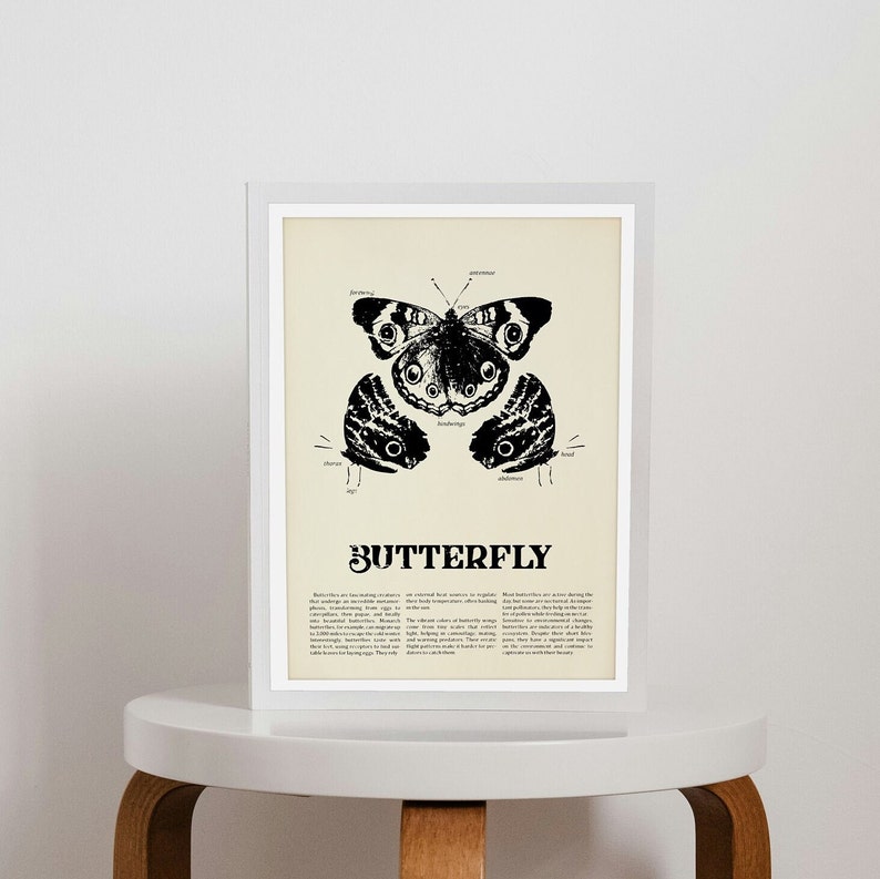 Vintage Butterfly Anatomy Poster Fascinating Facts & Stunning ...