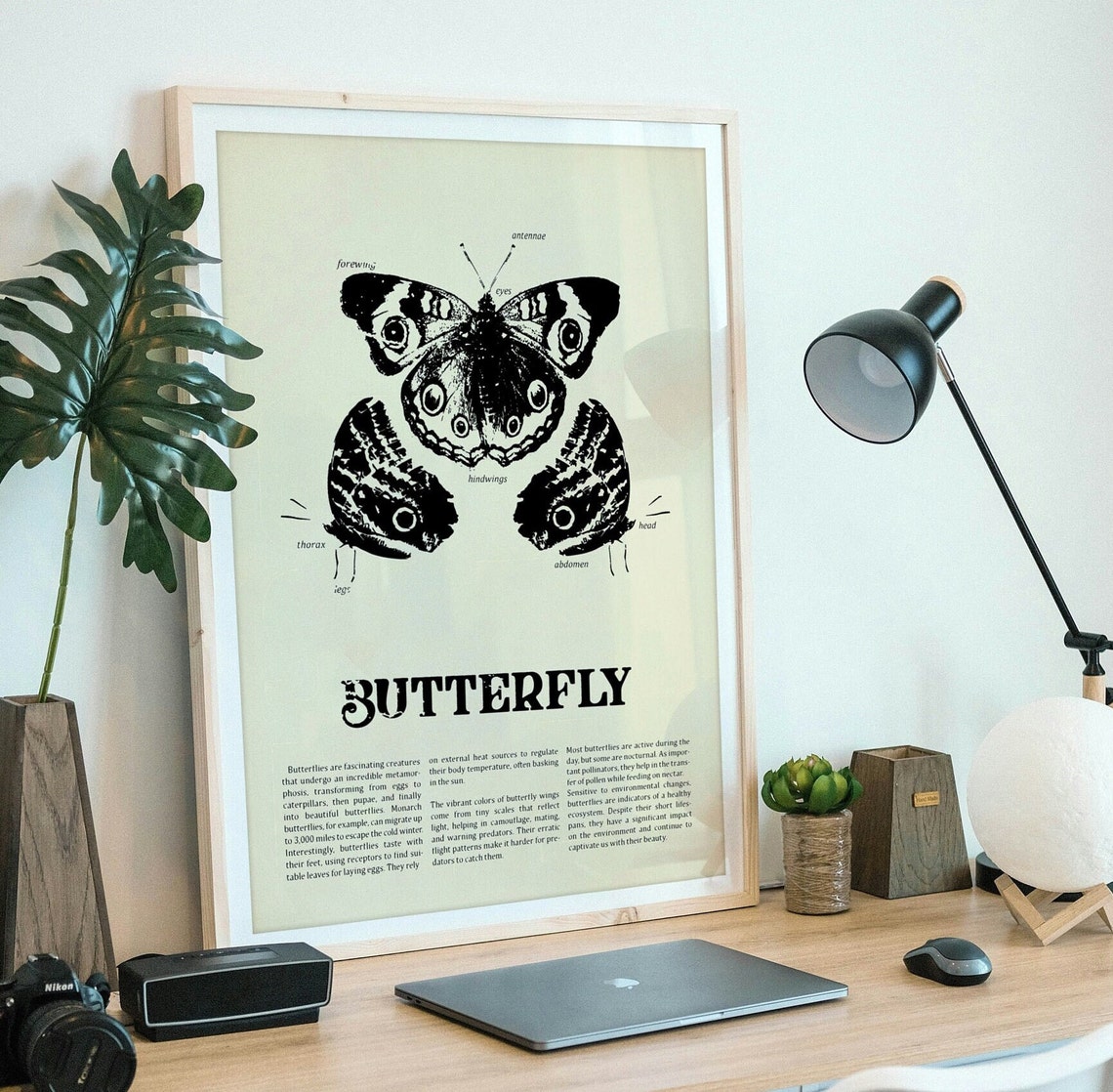 Vintage Butterfly Anatomy Poster Fascinating Facts & Stunning ...