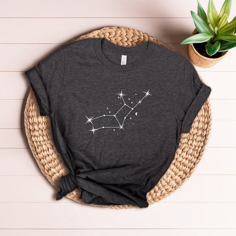 Virgo Shirt, Birth Month Constellation Tee, Zodiac Star Sign Gift, Celestial Astrology Lover ...