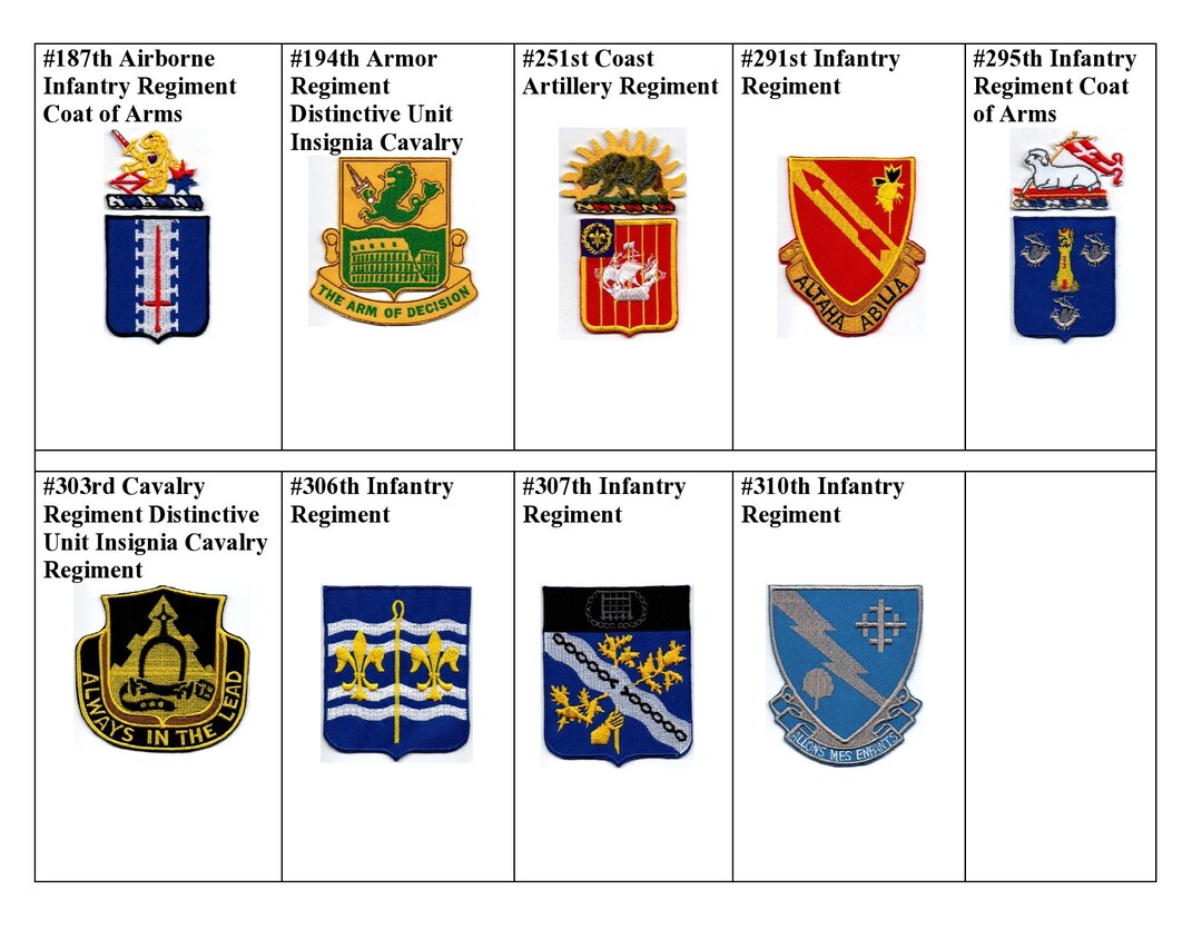 187th Airborne Infantry 194th 251st 291st 295th 303rd 306th - Etsy