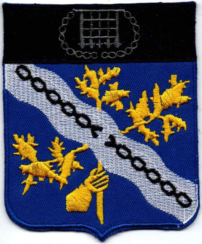 US Air Force 187th Airborne Infantry 194th 251st 291st 295th - Etsy