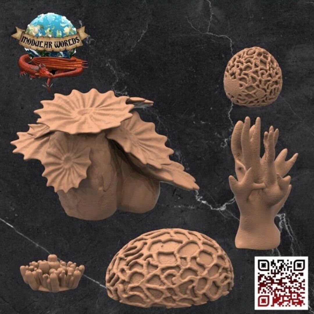 Coral Reef Set - Etsy