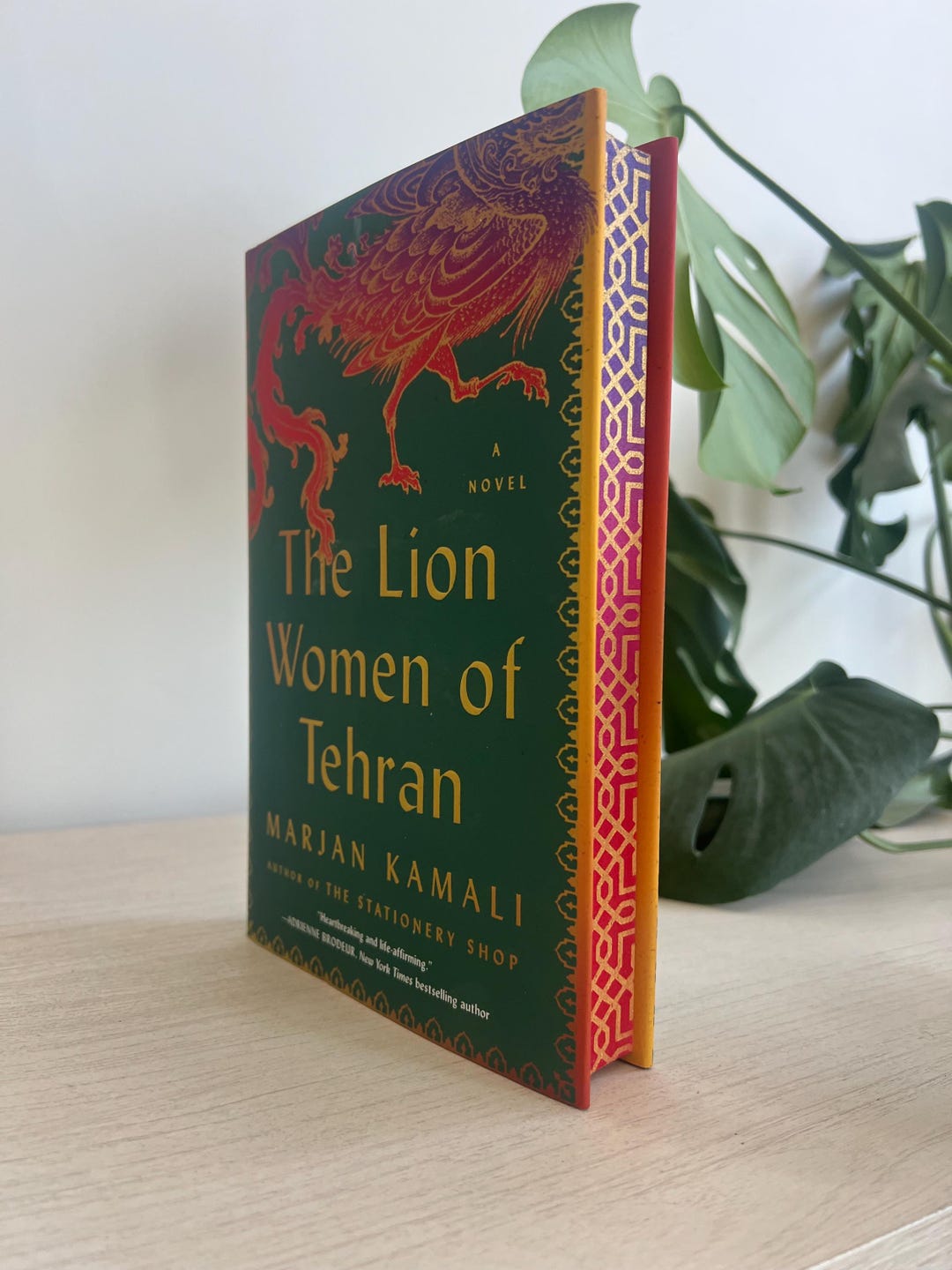 The Lion Women of Tehran: Sprayed Edge Stenciled Hardcover - Etsy