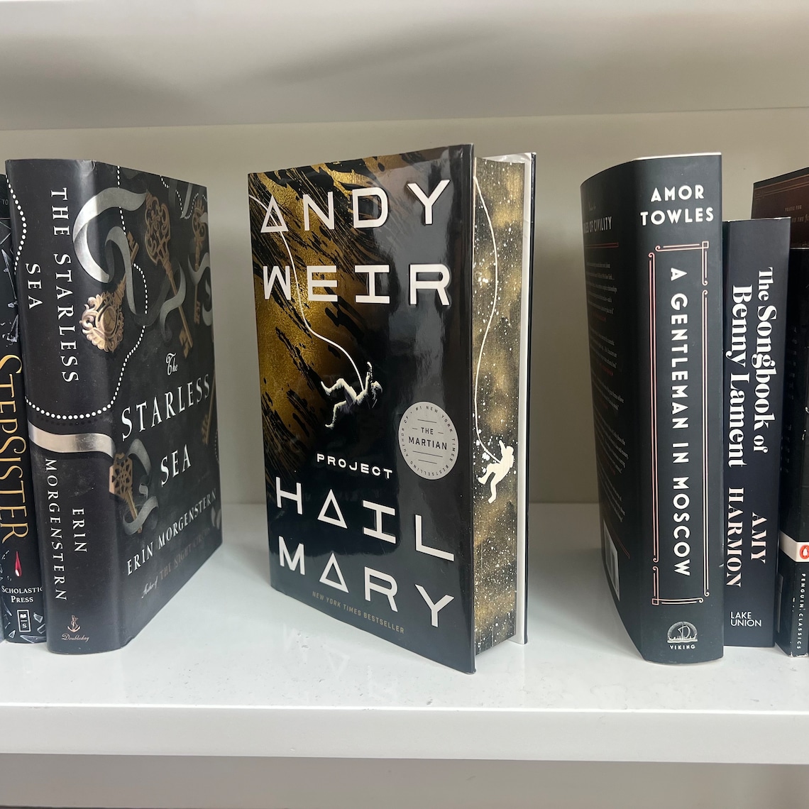 Project Hail Mary Special Edition by Andy Weir, Black and Gold Space ...