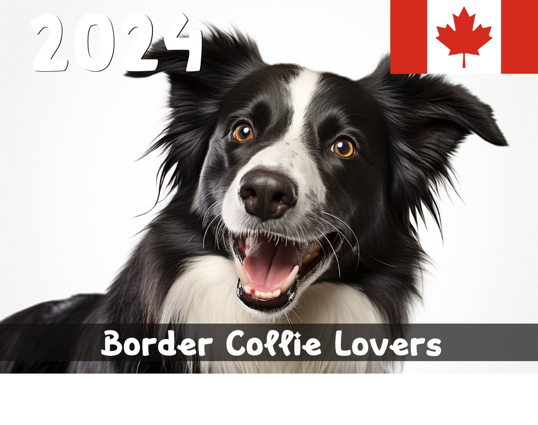2024 Border Collie Printable Calendar Canada - Etsy UK