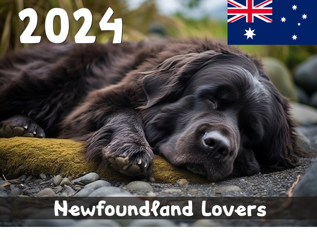 2024 Newfoundland Lovers Calendar Printable Australia - Etsy