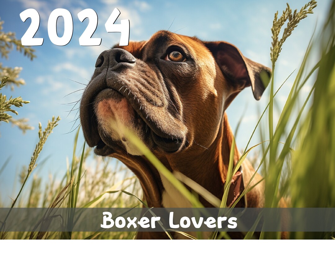 2024 Charming Boxers Printable Calendar Worldwide - Etsy