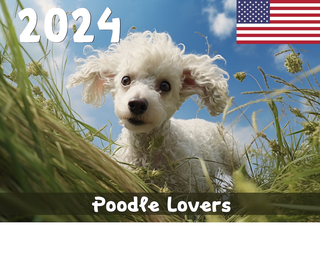2024 Poodle Calendar Printable USA - Etsy