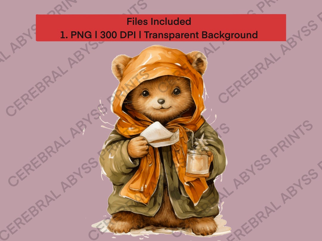 Bear Cub in Raincoat Clipart Cute Bears Collection Png - Etsy
