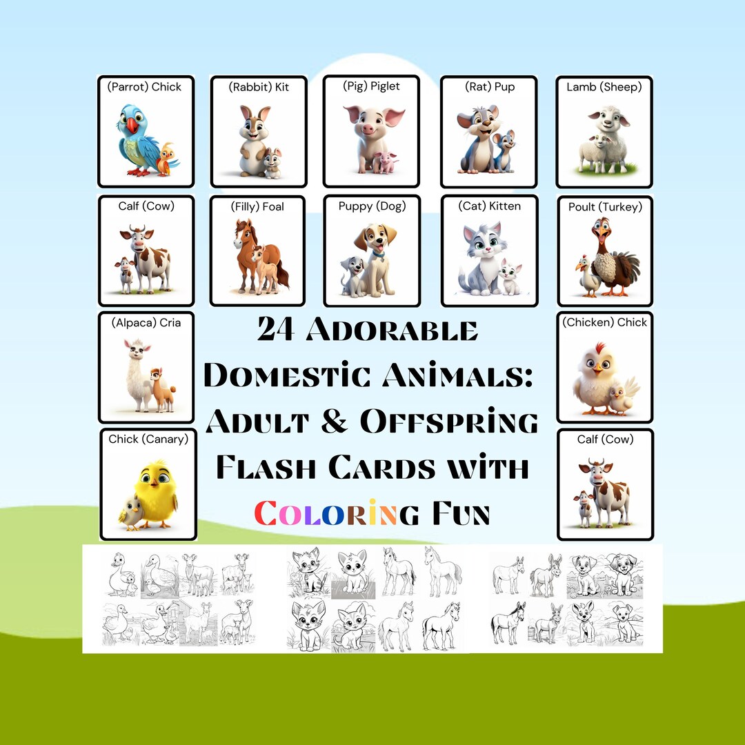 Discover Domestic Animals: Adult & Offspring Flash Cards With FREE ...