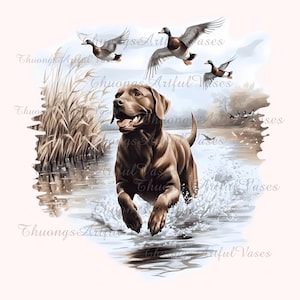 Retro Chocolate Lab Dog & Mallard Ducks Png, Chocolate Labrador Dog Png ...