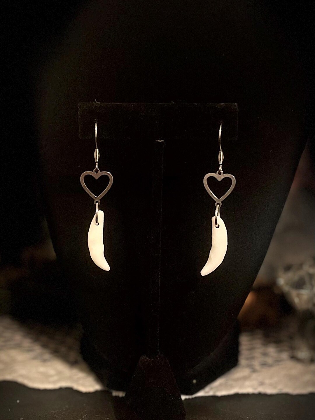 Coyote Canine (K9) Tooth Oddity Earrings -vulture Culture- Taxidermy ...