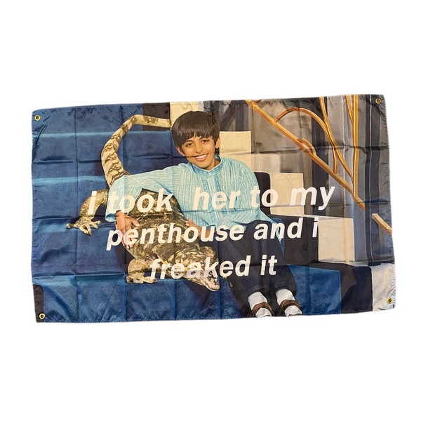 I Took Her to My Penthouse Ravi Tapestry - Etsy