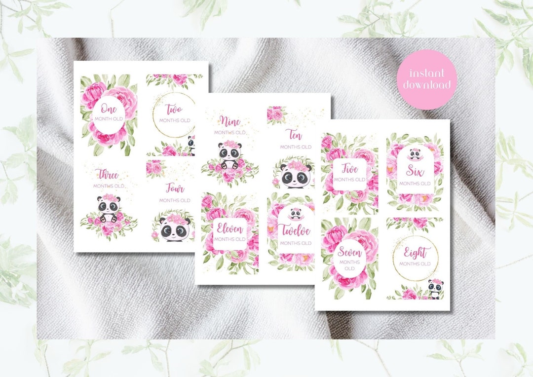 Pink Baby Panda Floral Milestone Cards Printable Keepsake - Etsy