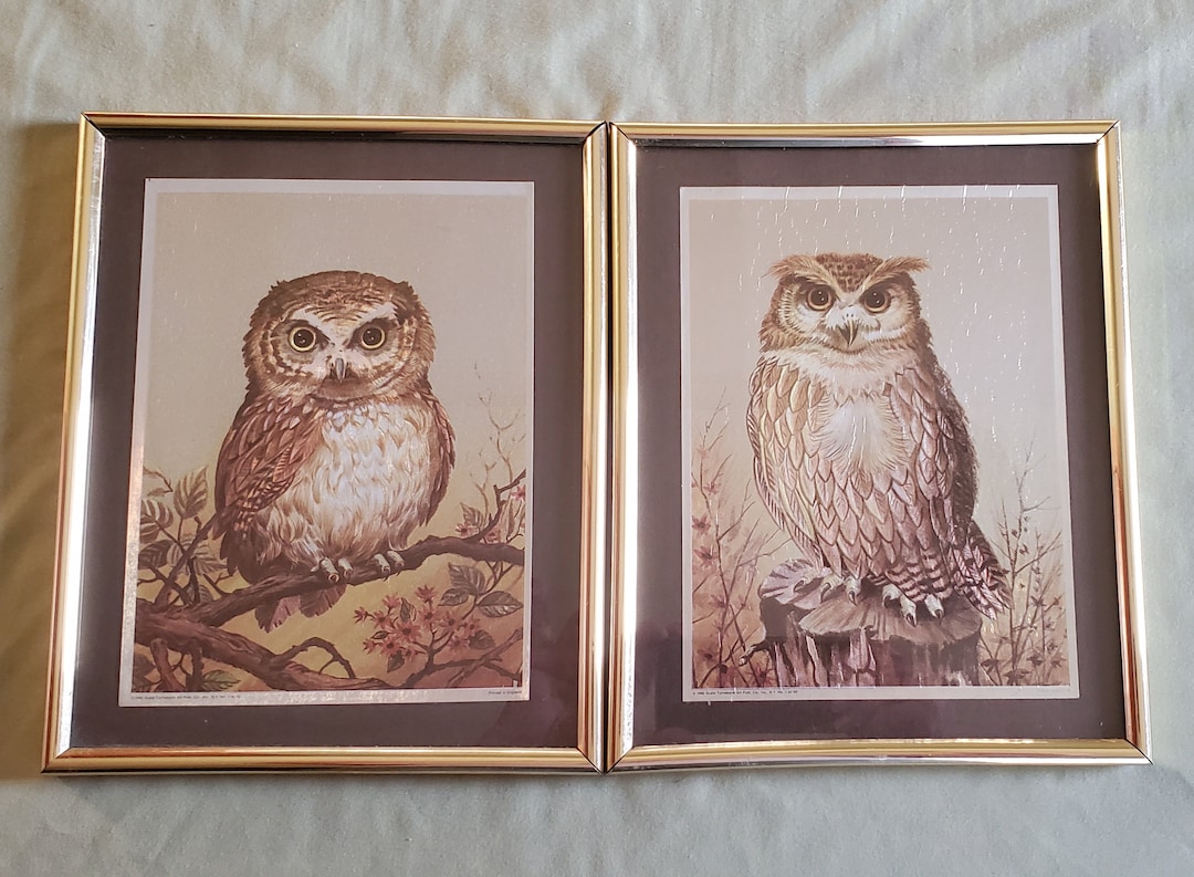 Pair Vtg Scafa Tornabene Foil Art Litho Owl 10"x8" Frame Print 1-4215F ...
