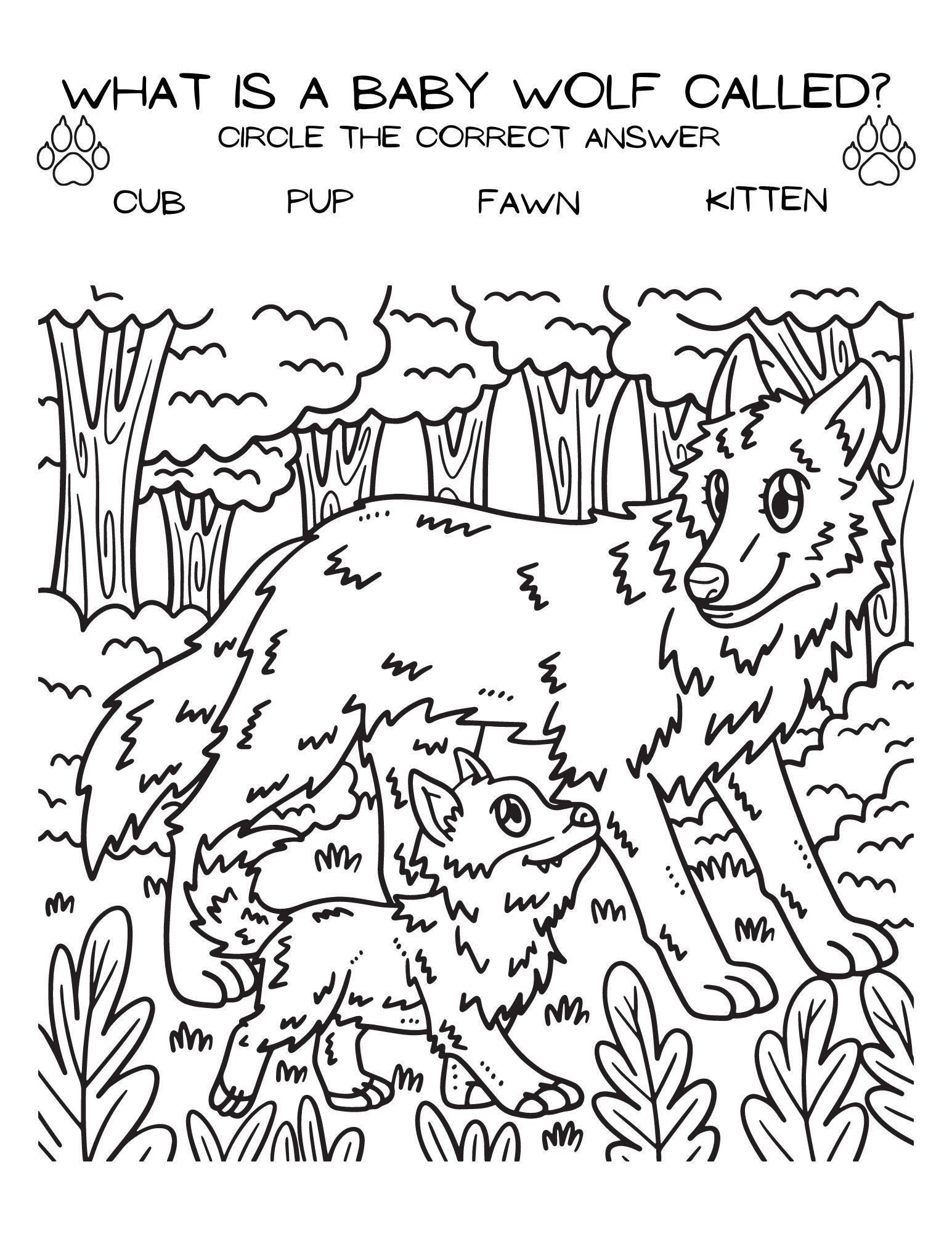 Zoo Animal Coloring and Activity Sheets 15 Page Printable - Etsy