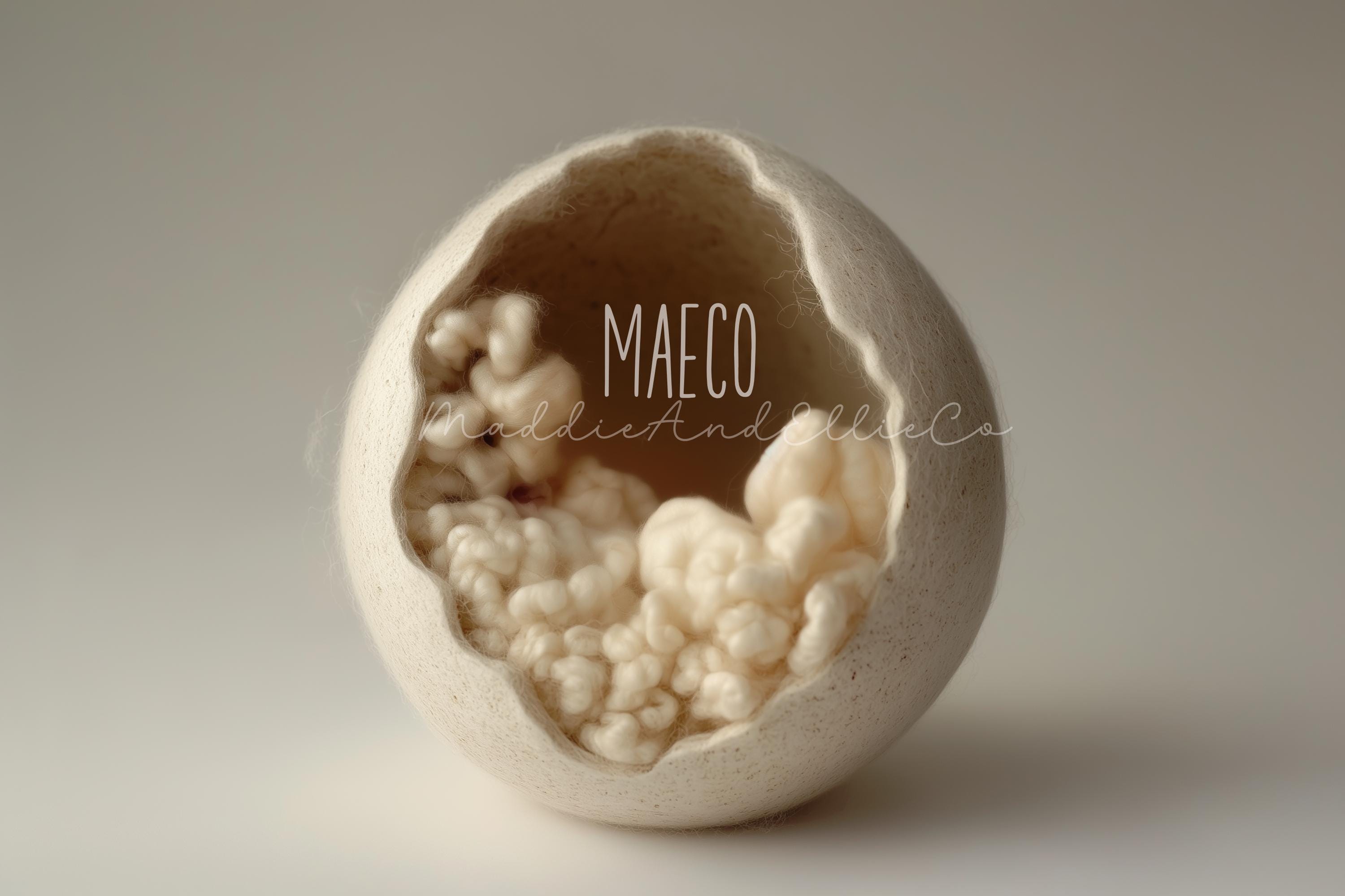Neutral Cracked Egg Digital Backdrop, Newborn Digital Background, Empty ...
