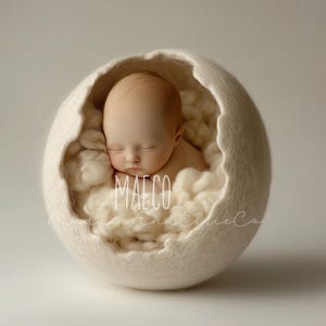 Egg Digital Backdrop, Newborn Digital Background, Empty Prop for ...