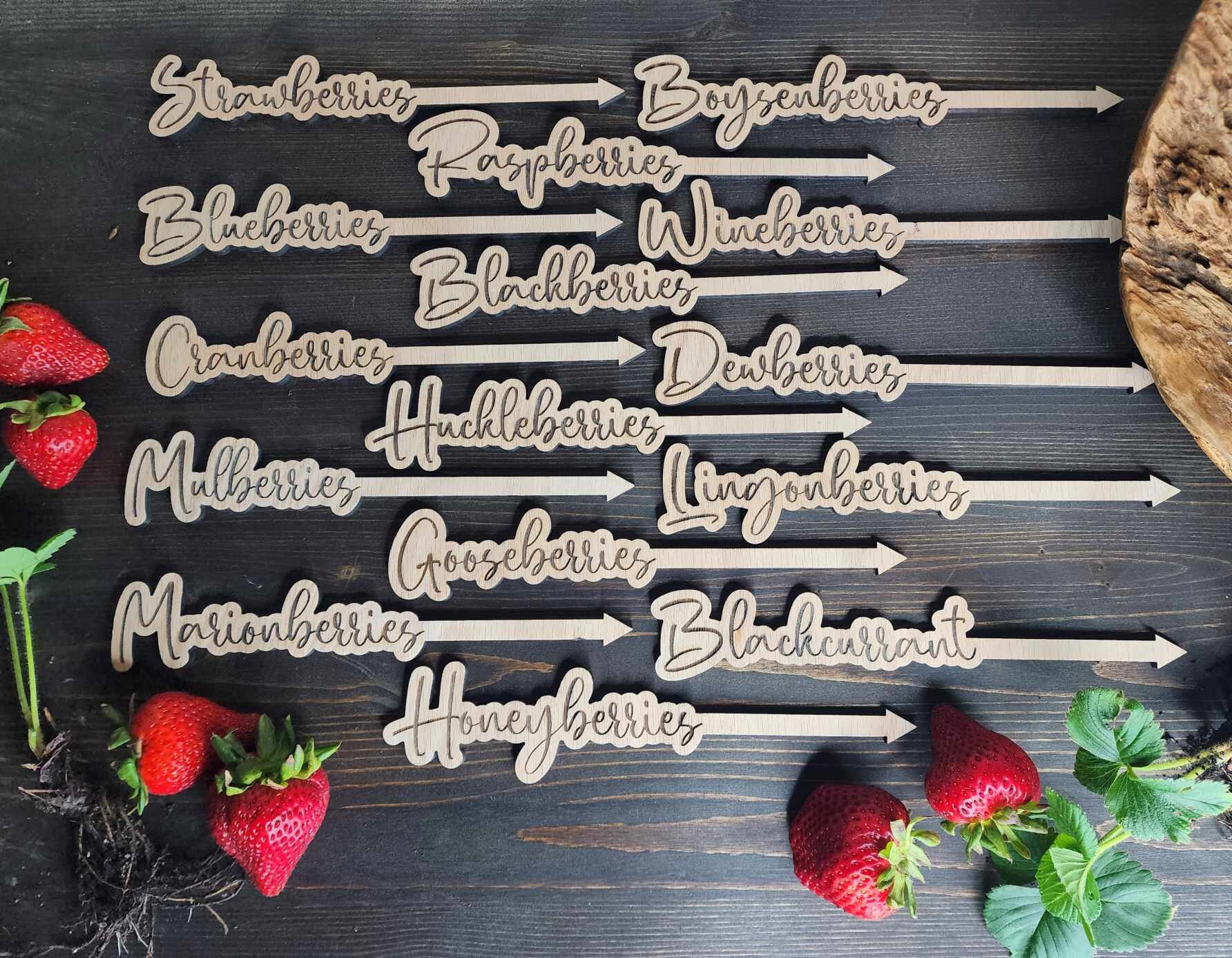 Berry Garden Plant Markers Svg File - Etsy Canada