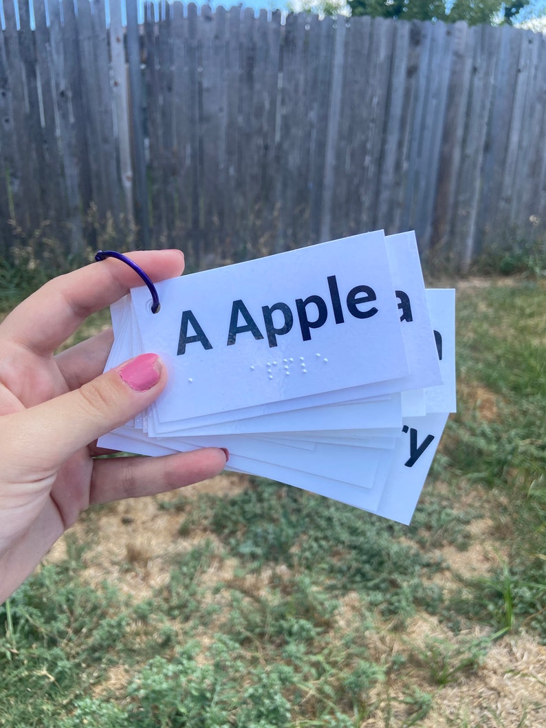 Braille Food Alphabet Flash Cards - Etsy