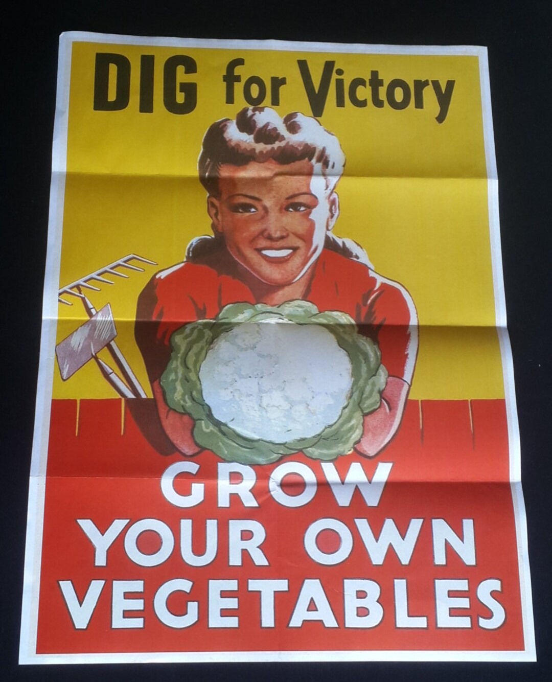 1943 WW2 USA America Women Lady Girl Grow Vegetable Victory Old Vintage ...