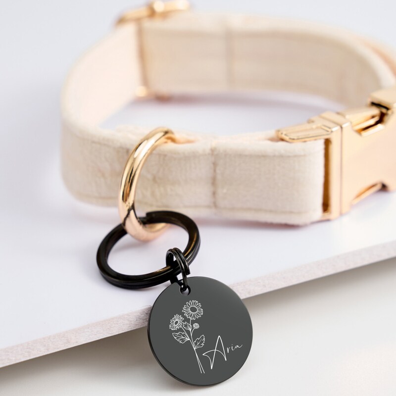 Dog Collar Tags - Etsy