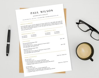 Resume Template, CV Template Word, Google Docs, Pages, Professional ...