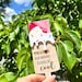 Ice Cream Popsicle Giftcard Holder | Teacher Gift | End of School Year ...