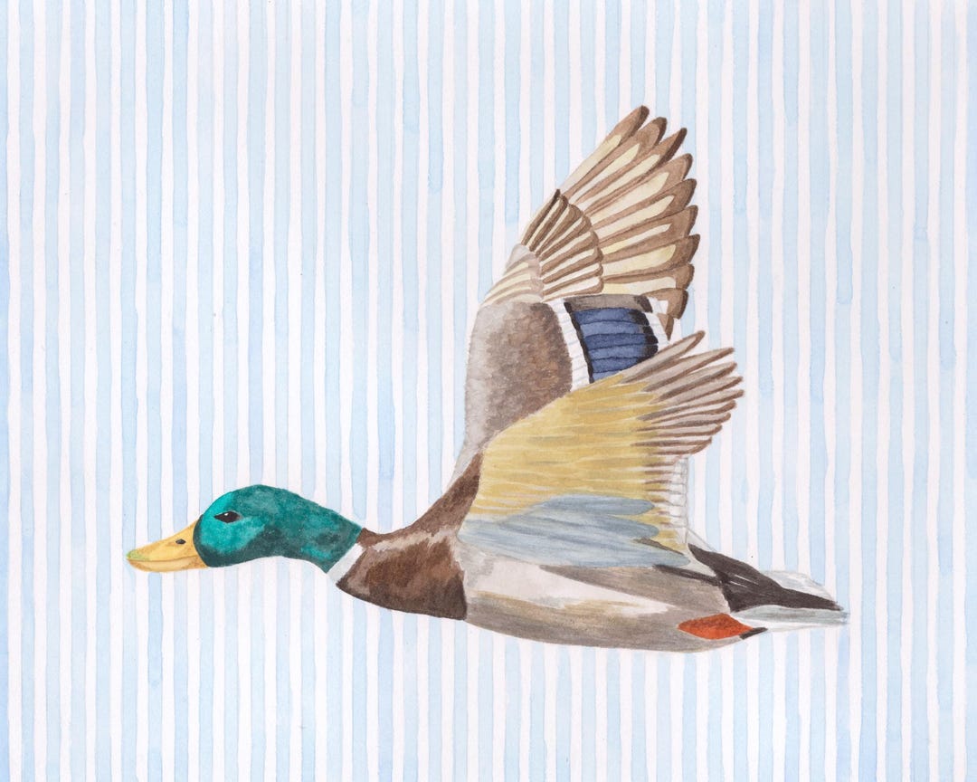 Mallard Duck Watercolor Print for Nursery and Home - Etsy