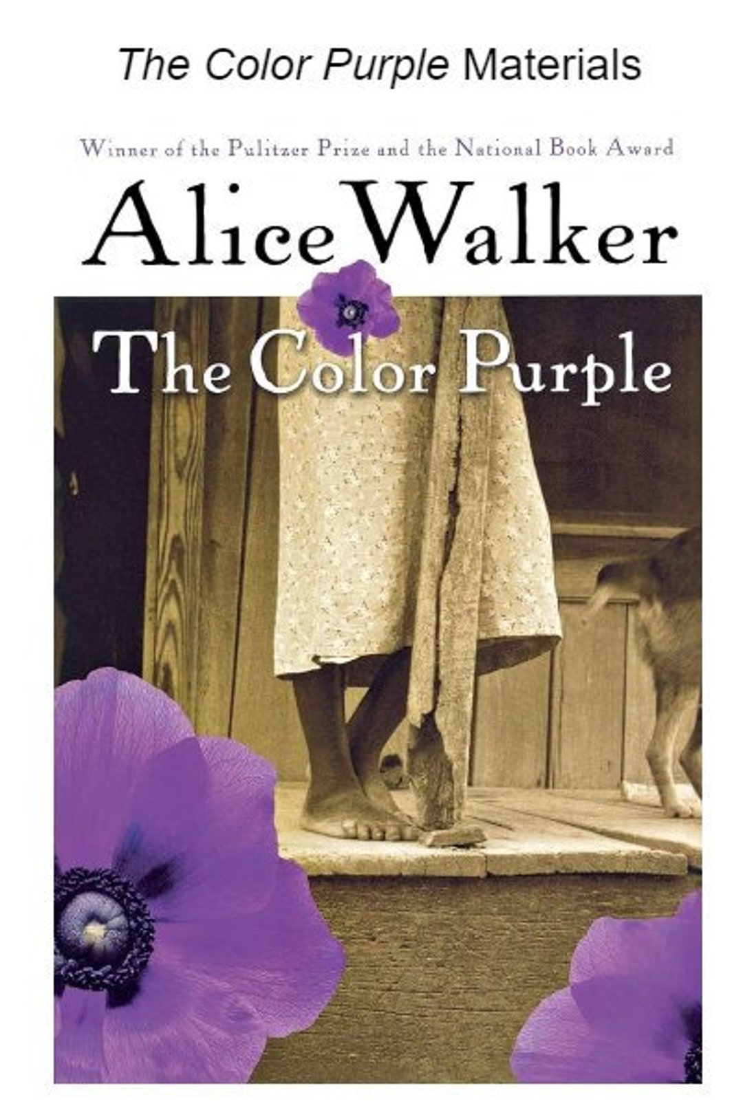 The Color Purple Unit: Lesson Plans, Questions, Quiz, Slideshows ...