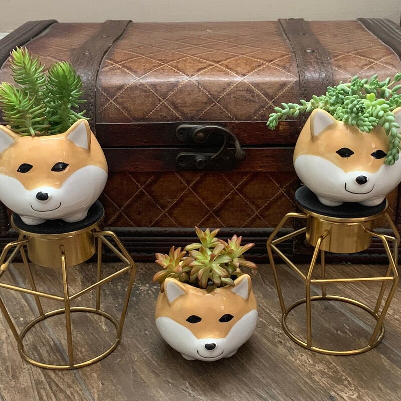 Corgi Planter - Etsy