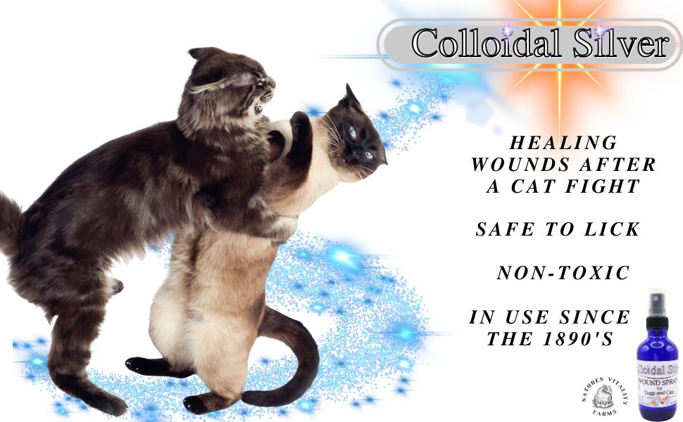 Colloidal Silver Spray for Dogs & Cats - 10 PPM, 4 Oz Glass Bottle ...